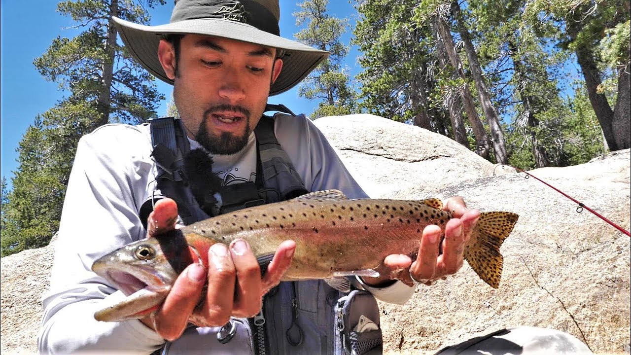 Back in the Sierras | Trout fishing & camp cooking (day 2)