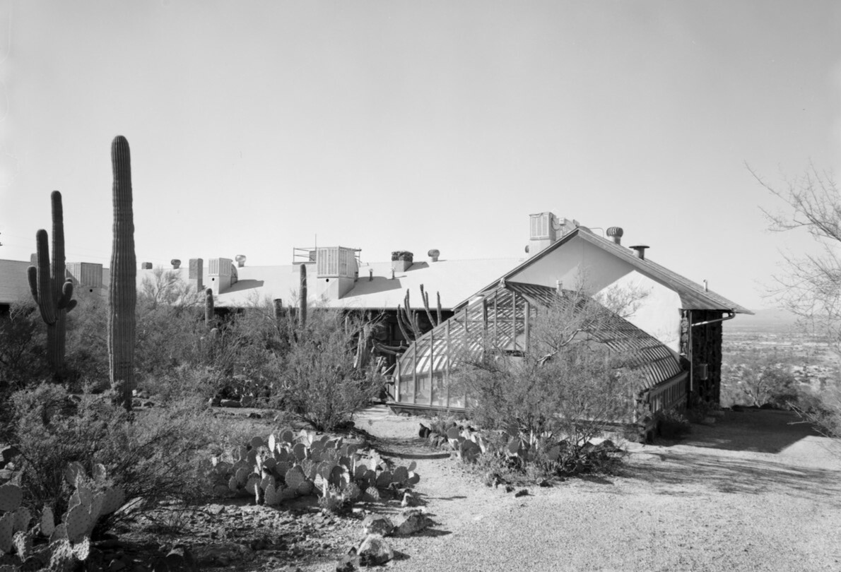 The 1908 saguaro census that saved an Arizona icon from extinction
