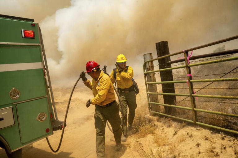 Forest service reverses decades-long ban, allows wildfire firefighters ...