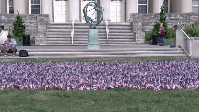 Only 1% with 161+ IQ Level can spot the Hidden Copperhead Snake in this ...