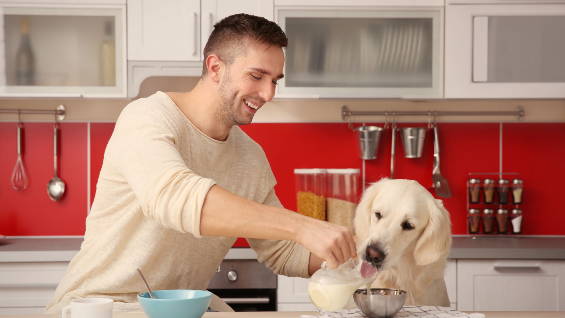 Vets Share 6 Safe Drinks For Dogs Beyond Water