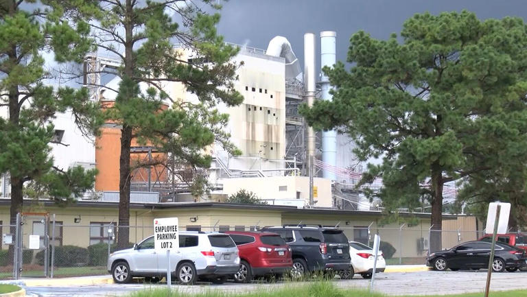 Georgia paper mill closures leave communities reeling, lawmakers ...