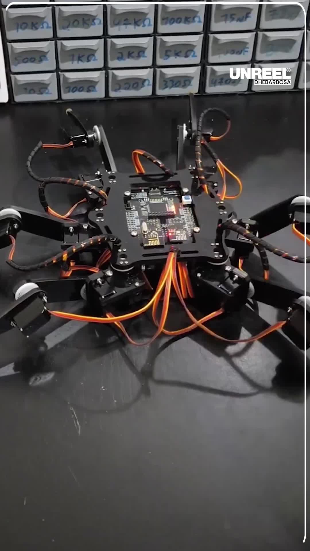 Build a Realistic Robot Spider with Daybarbosa: Complete Guide to ...