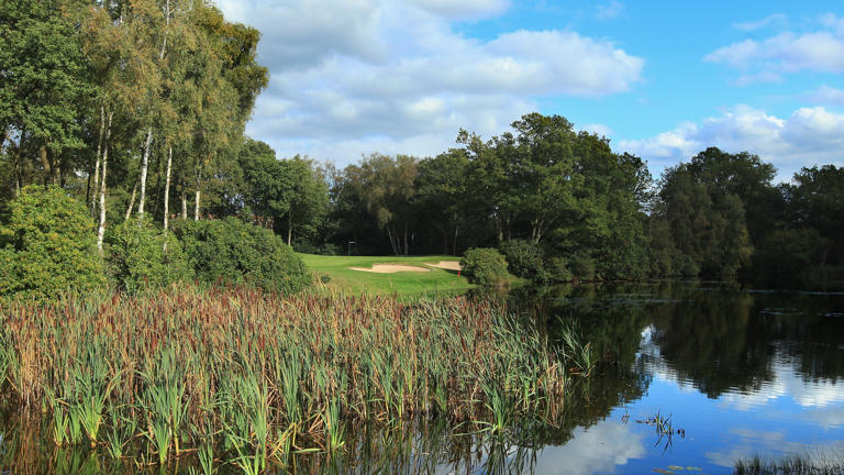 All Guardian Fish Locations In SoS: Grand Bazaar