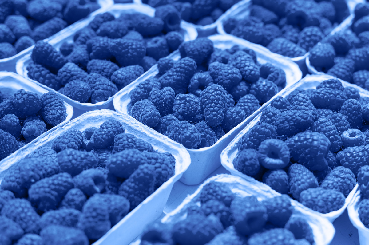 Wait, What is Blue Raspberry? Everything You Need to Know About the ...