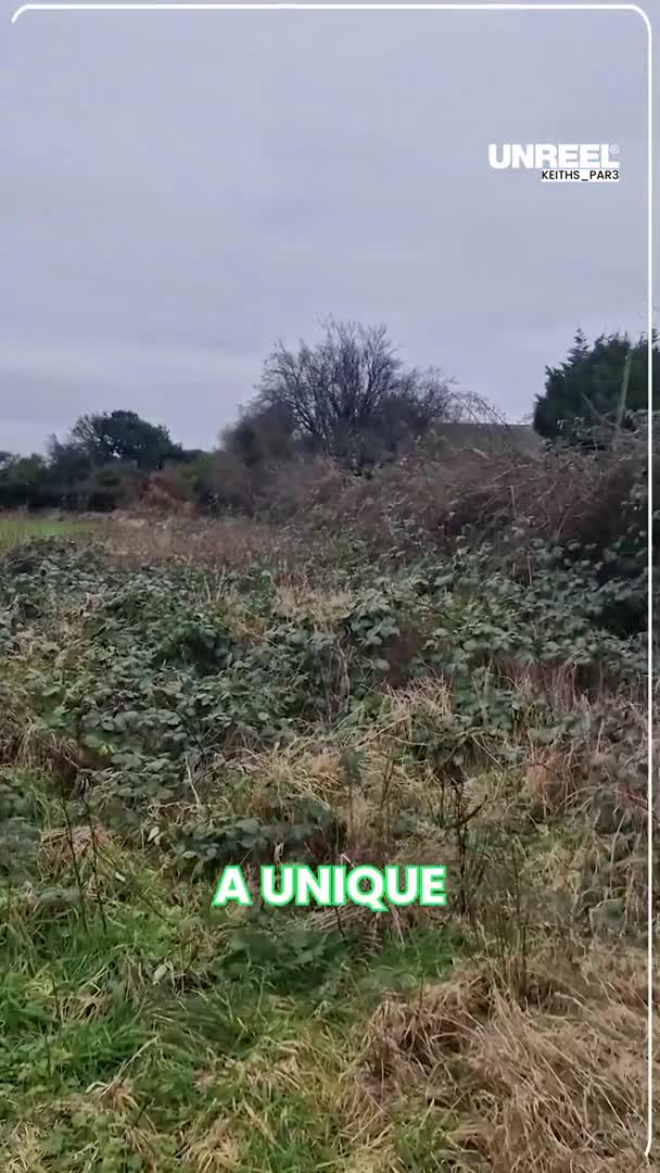 Transform your backyard into a personal golf paradise: DIY tips & tricks!