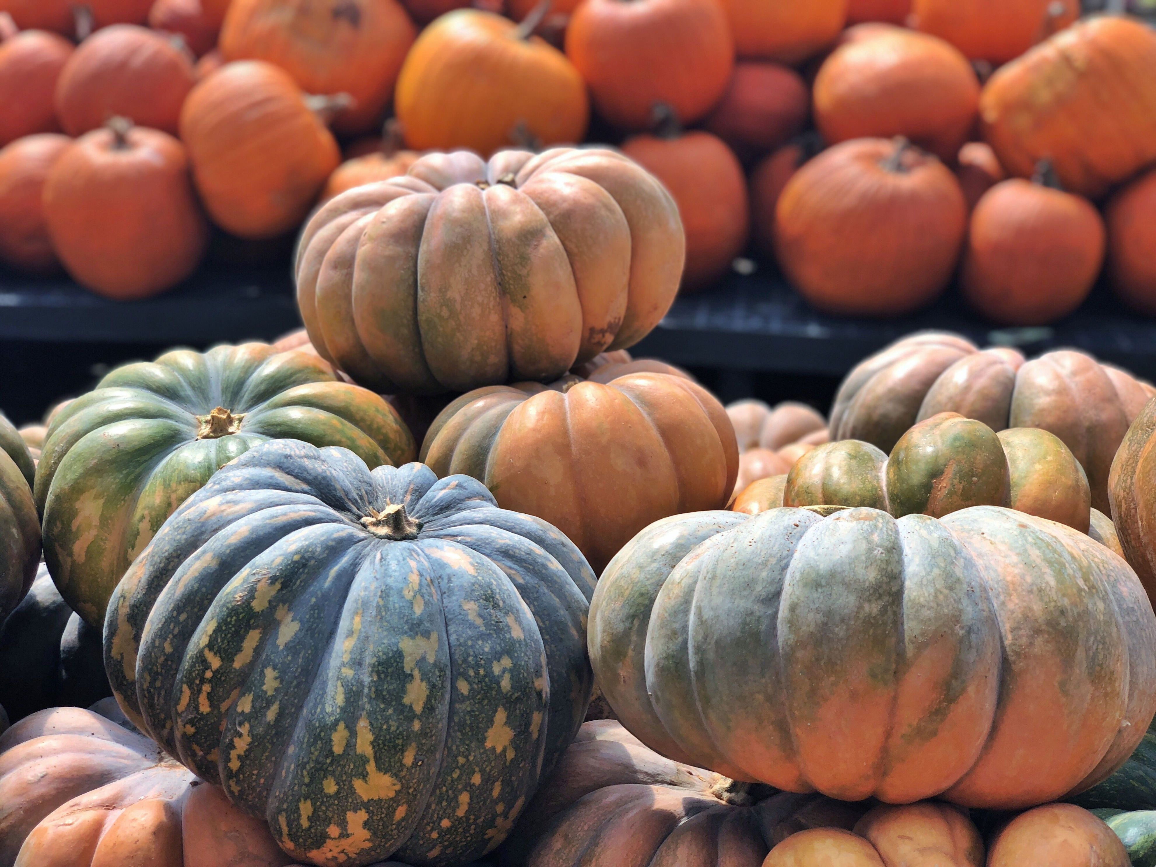 20 Different Types of Pumpkins That Are the Pick of the Patch
