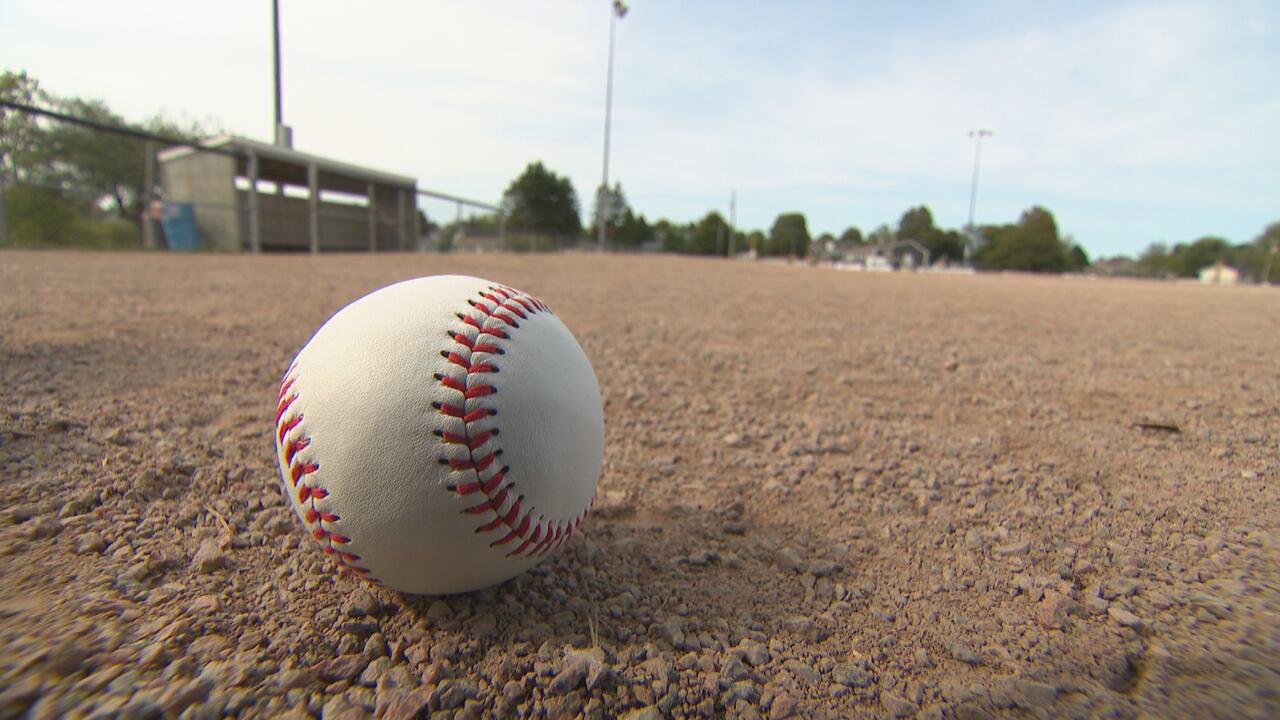 Play ball: League votes to allow Cactus Rats to play in new stadium ...