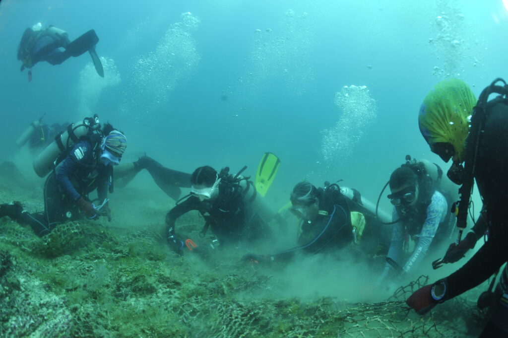 Divers remove ‘ghost gear’ the length of a soccer pitch from marine ...