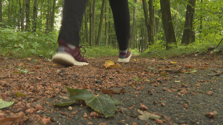 Ironbull collaborates with Bone and Joint Clinic to offer first aid and ...