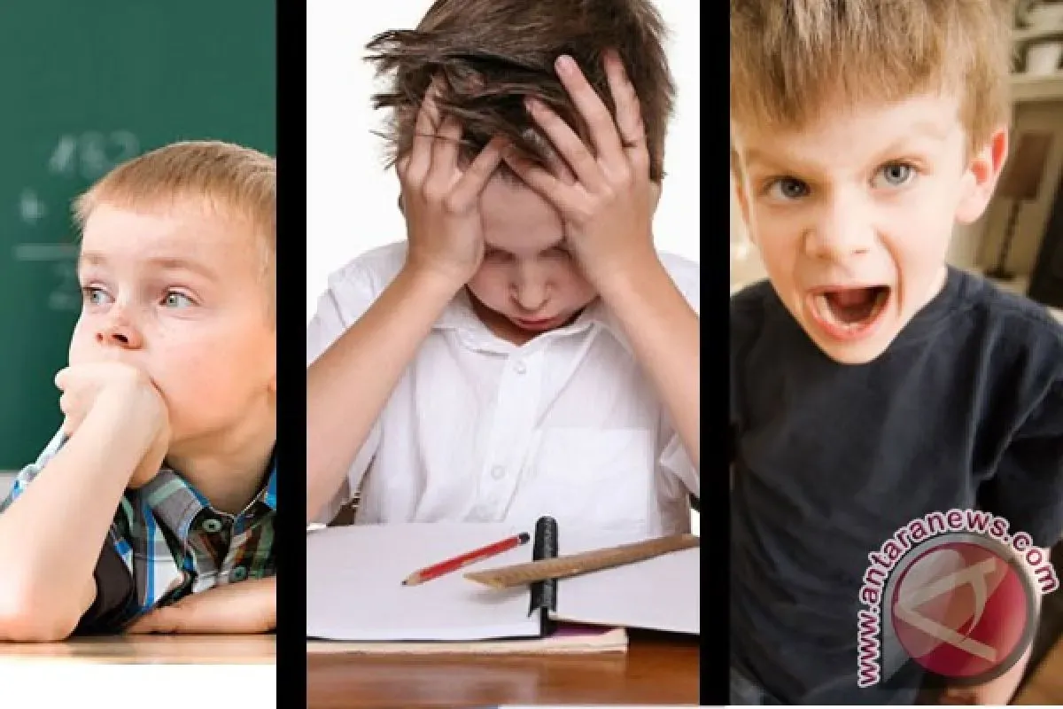 Mengenal ADHD: Gangguan Konsentrasi dan Hiperaktivitas pada Anak dan ...