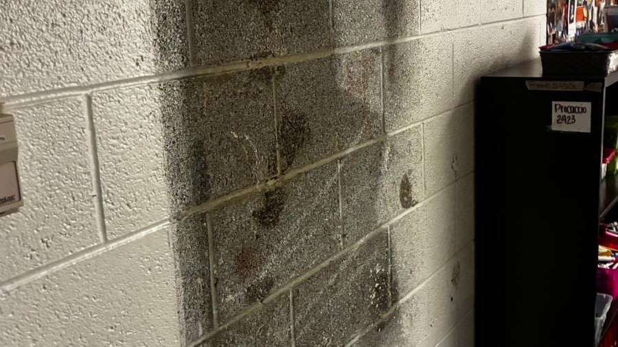 Parents raise concerns over mold at Fairfax County high school