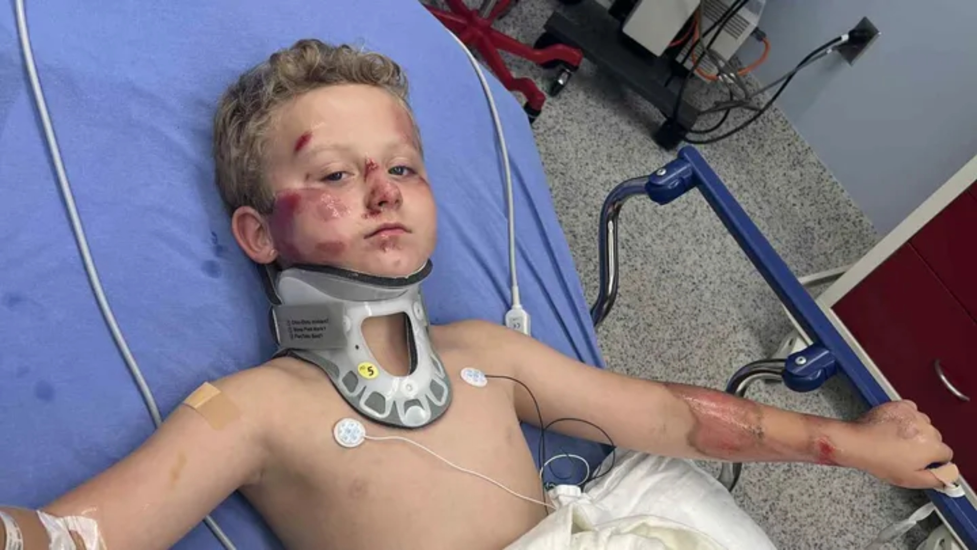 Witnesses Watch In Horror As Driver Hits 8-Year-Old Boy On Bike ...