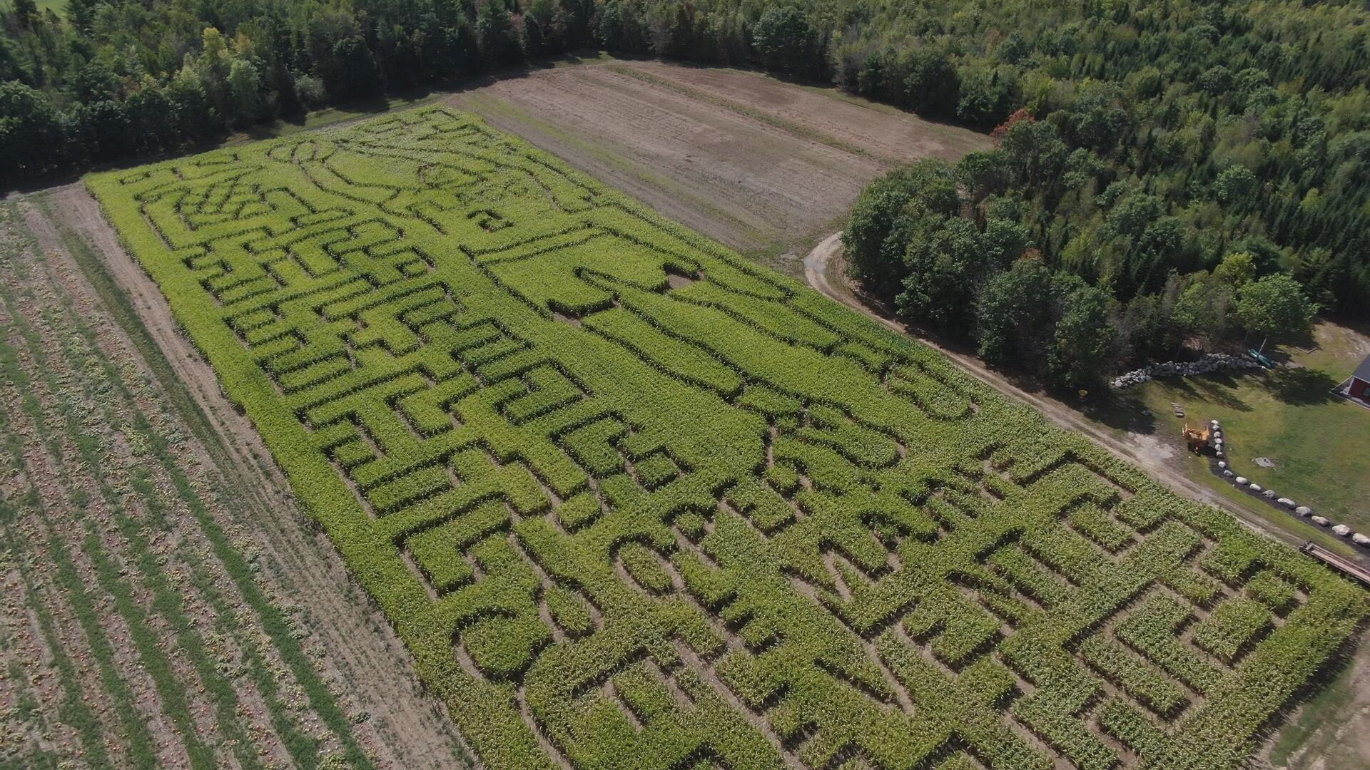Maine farm creates Cooper Flagg corn maze