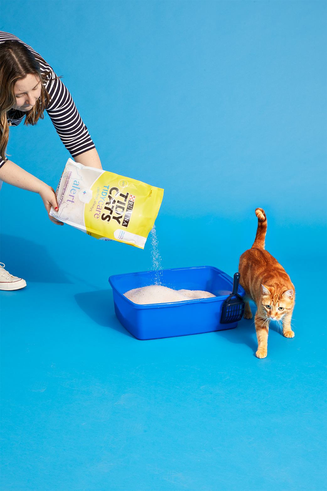 The Best Cat Litters for Truly Hiding Odor
