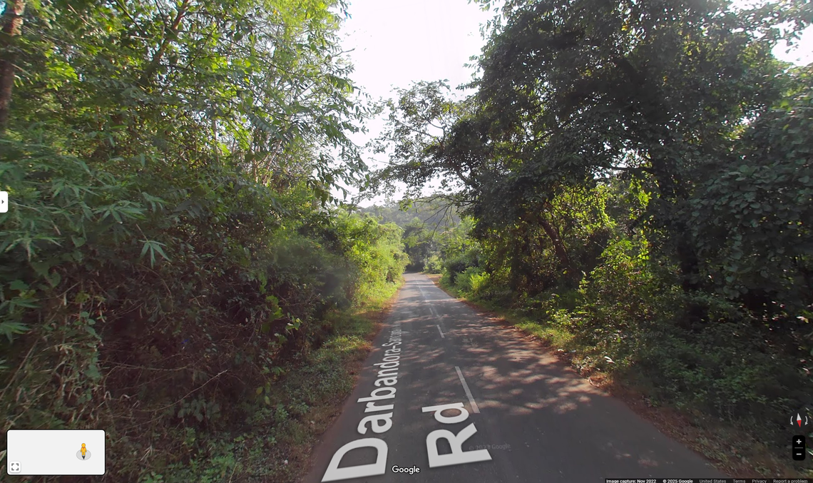 ‘Elusive' creature found on rural road in India marks first-of-its-kind ...