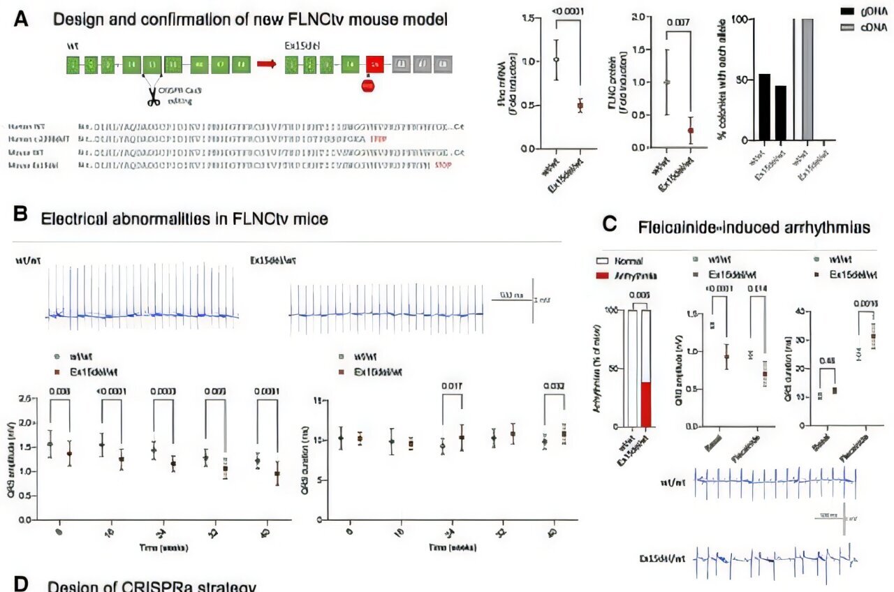 Scientists report first use of CRISPR activation to treat a cardiac ...