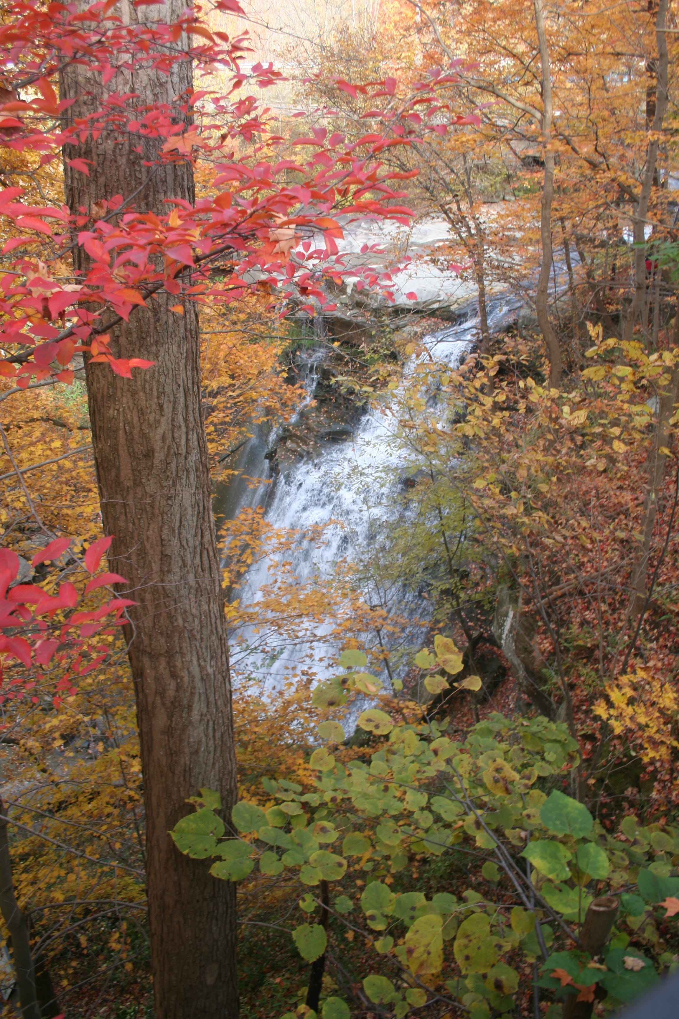 The best 6 fall getaways within driving distance of Columbus
