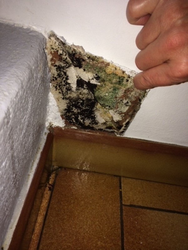 Feel Like Something Invisible Is Biting You? It Could Be Mold