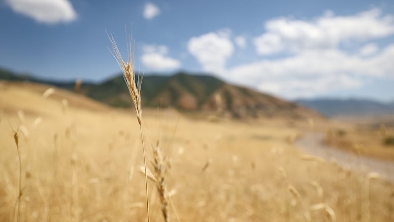 Utah posts sixth-warmest, 18th-driest summer on record. These counties ...