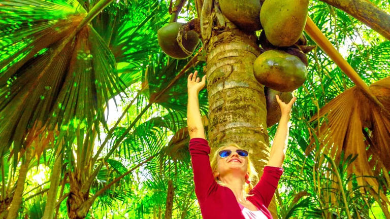 Three charged after stealing copper wiring from State Game Lands: PSP