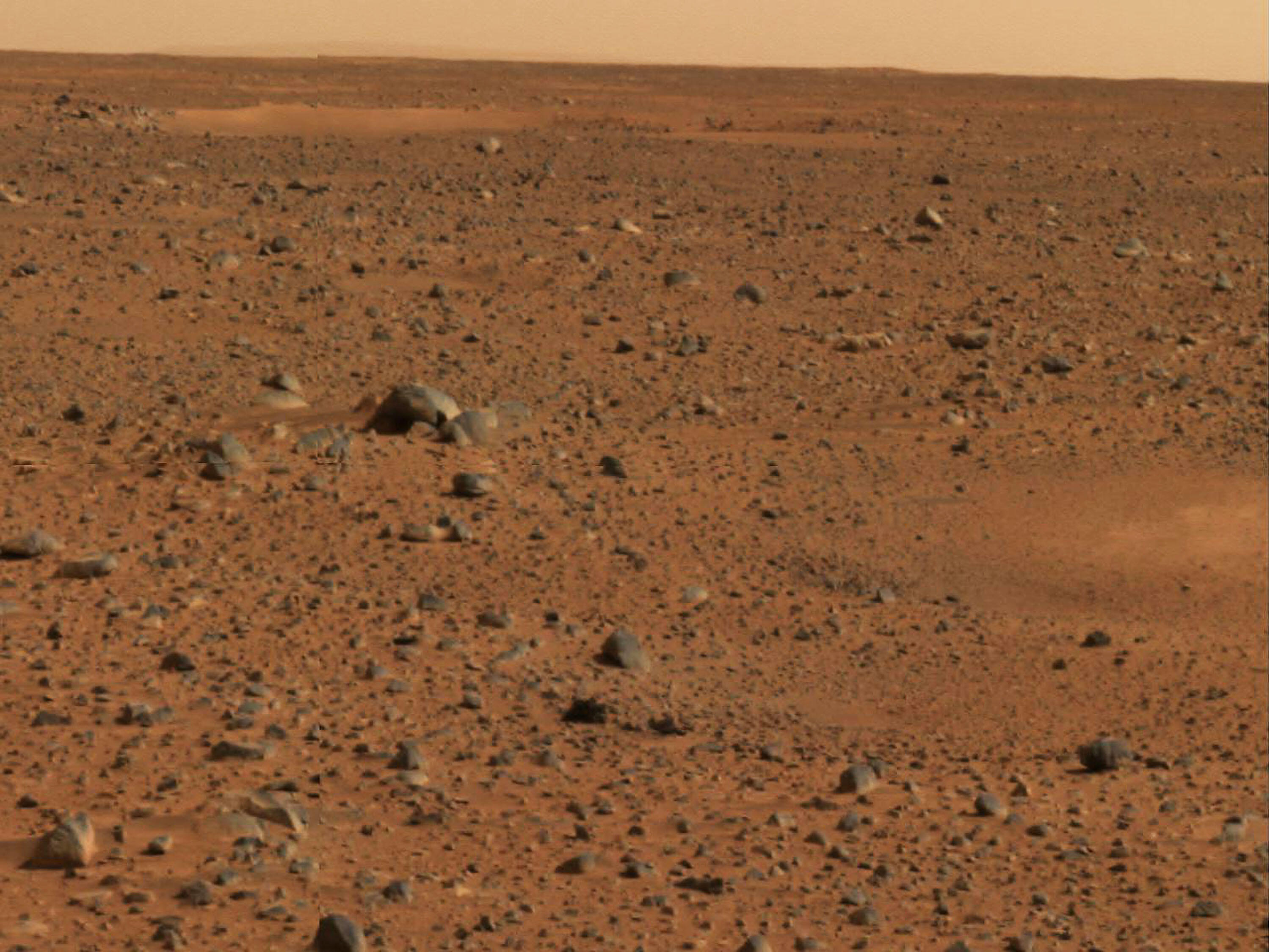 NASA's Mars Rover Finds Rock With Possible Signs Of Ancient Life