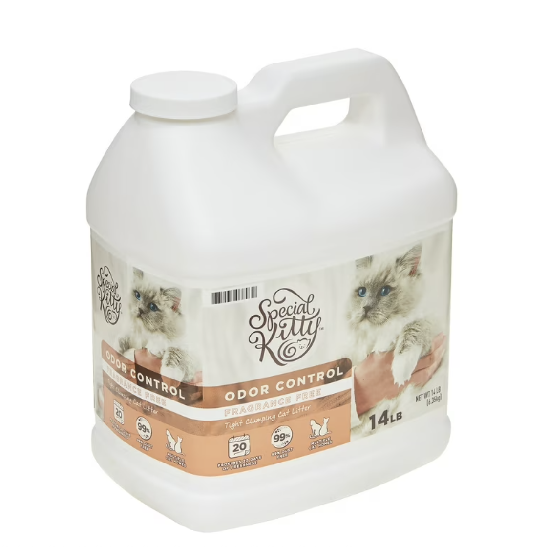 The Best Cat Litters for Truly Hiding Odor