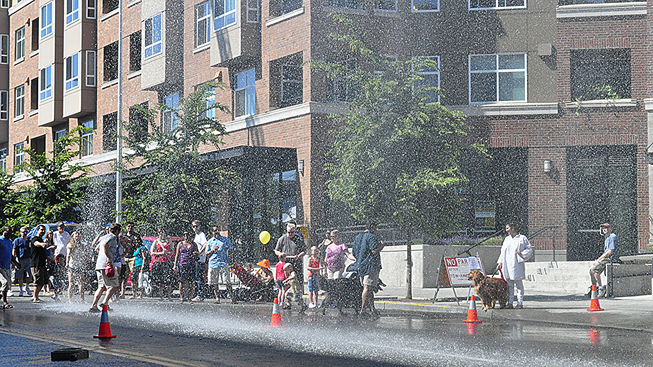 Extreme heat in US cities revealed at high resolution