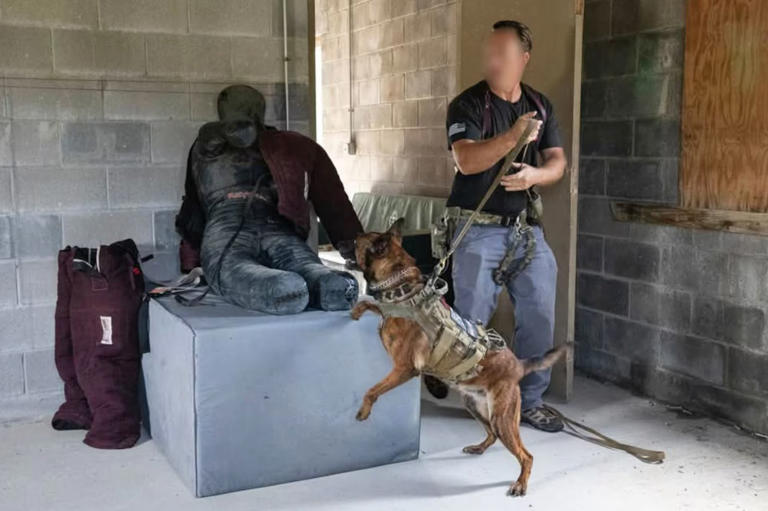 SOF Pic of the Day: From Geo Hand’s Private Stash-Delta Operators and a ...