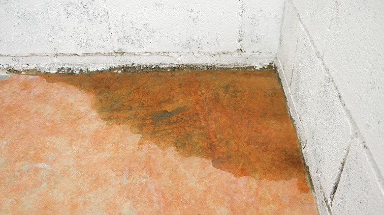 Signs There Is A Problem With Your Home's Foundation, According To An ...
