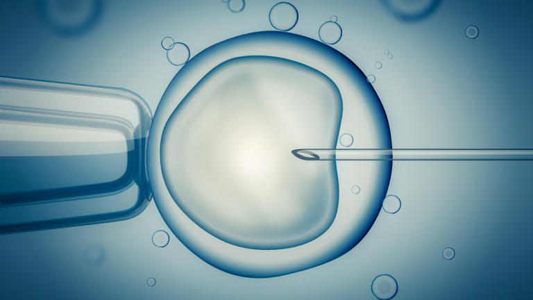 Fertility Society rocked by allegations of $3m fraud as D-day looms on ...