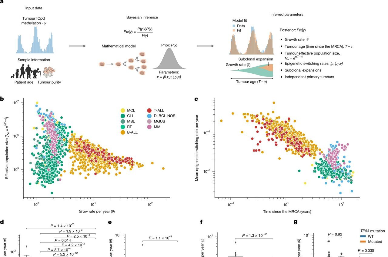 Algorithm reconstructs evolution and clinical progression of tumors to ...