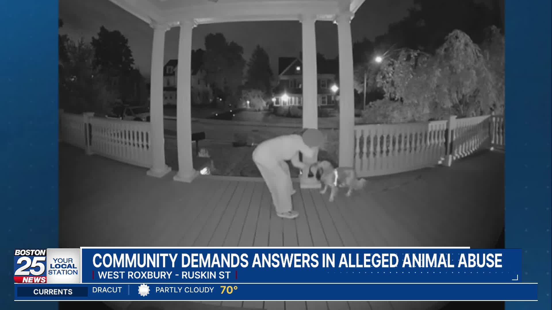 Ring camera captures woman beating dog on porch of Boston home