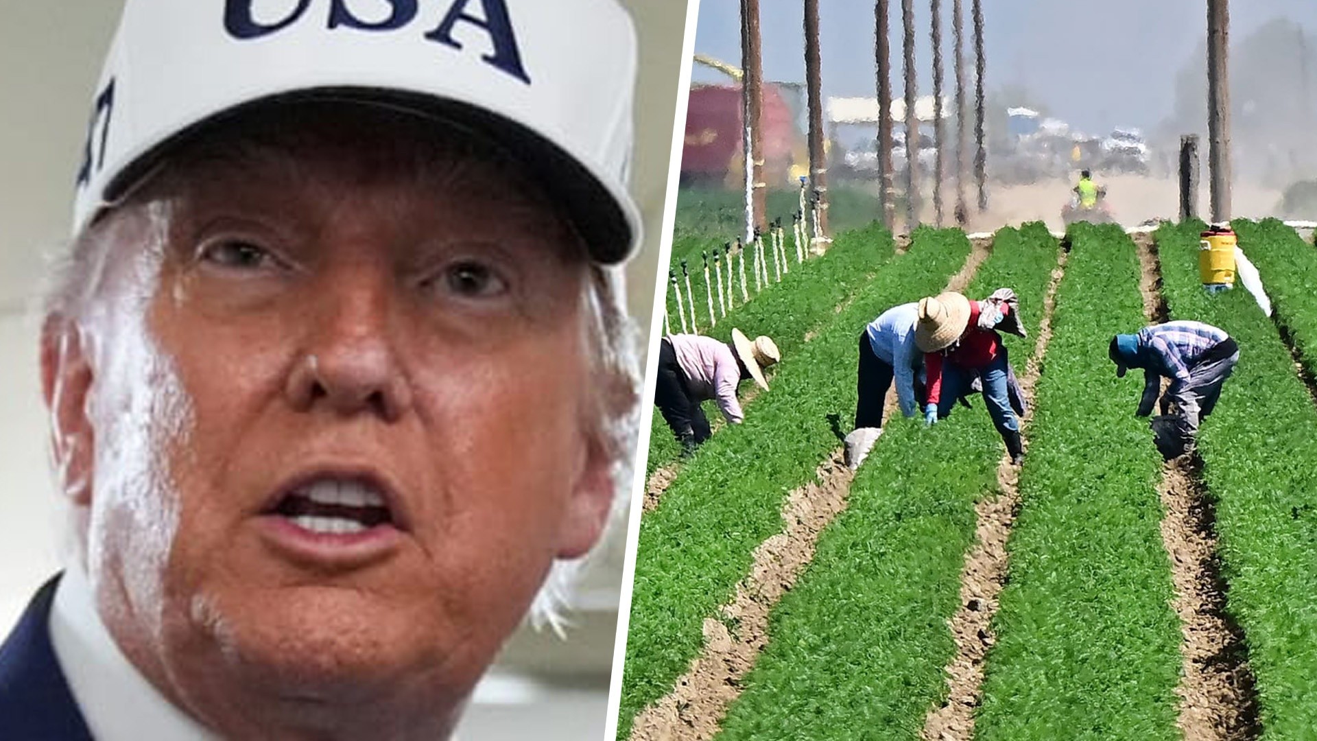 Farmers struggle amid rising costs and Trump's tariffs: 'We've got a ...