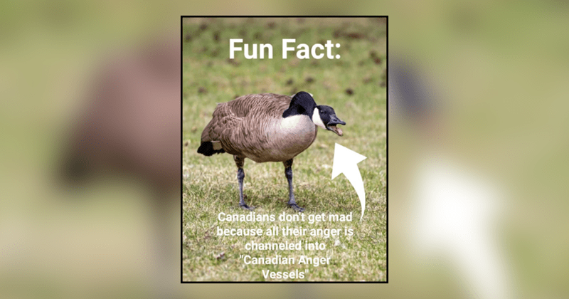 25 Memes of Silly Geese on Park Patrol