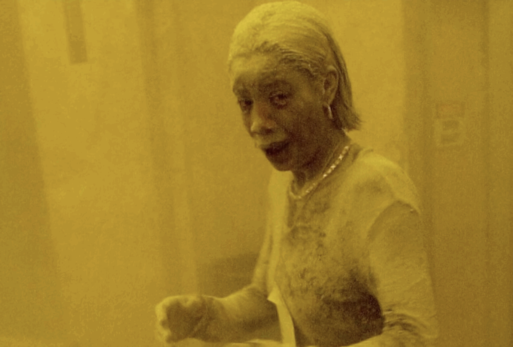 The Untold Story of the ‘Dust Lady’ Who Survived 9/11 Attack And Her ...