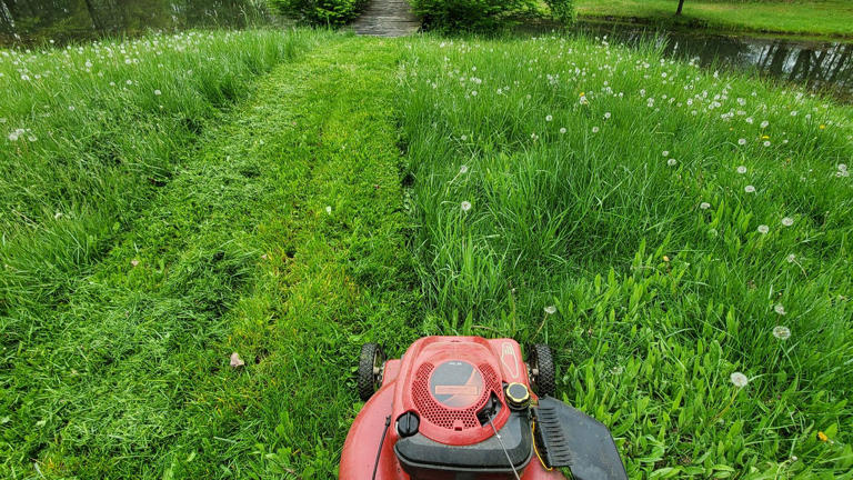 You Should Only Mow Your Lawn During This Two-Hour Window, According to ...