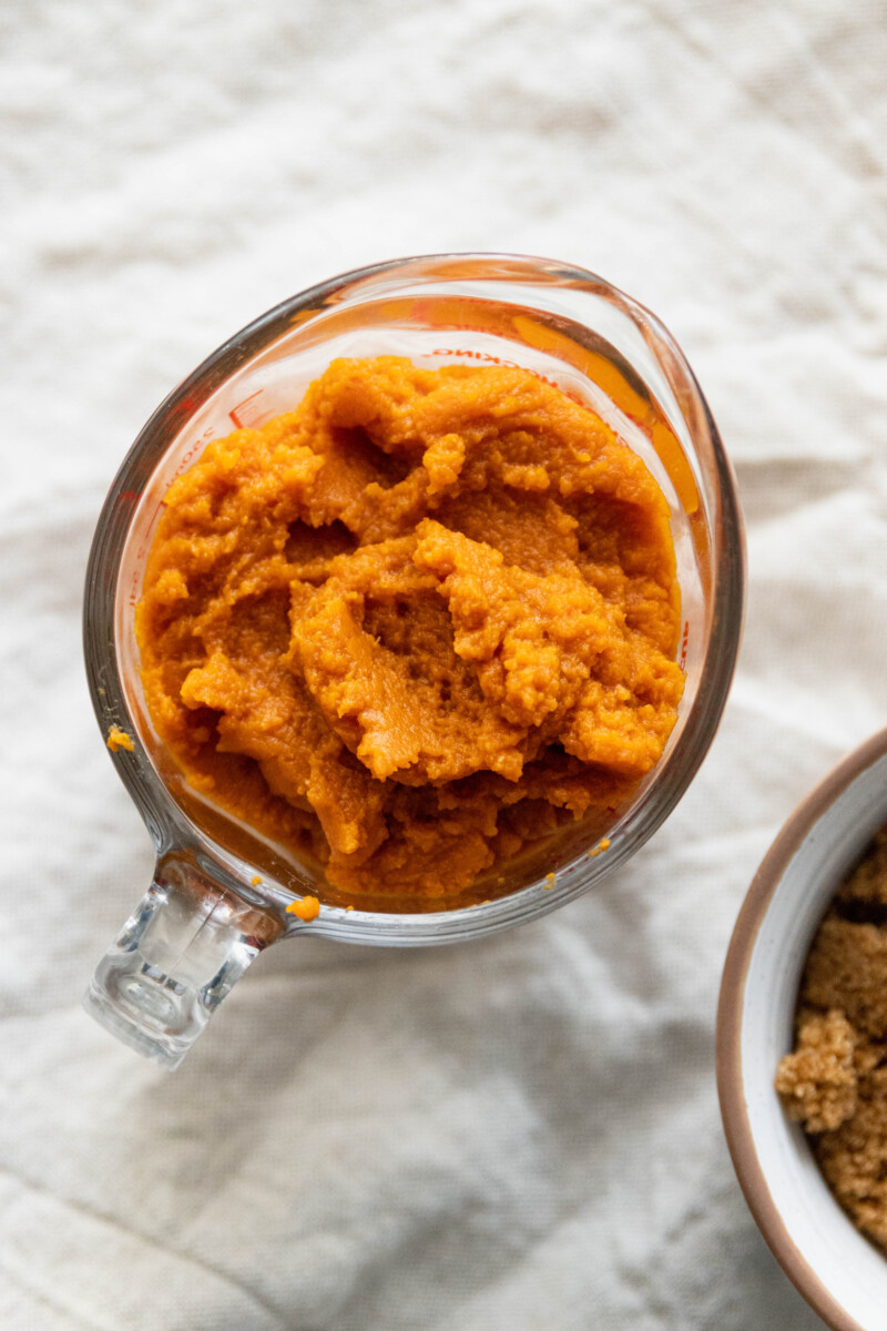 How to Use Canned Pumpkin Like a Pro: 10 Recipes to Try