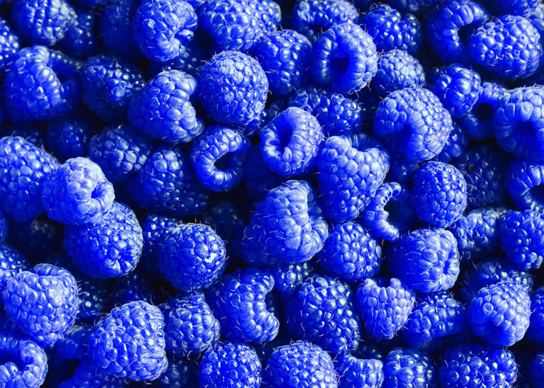 Wait, What is Blue Raspberry? Everything You Need to Know About the ...