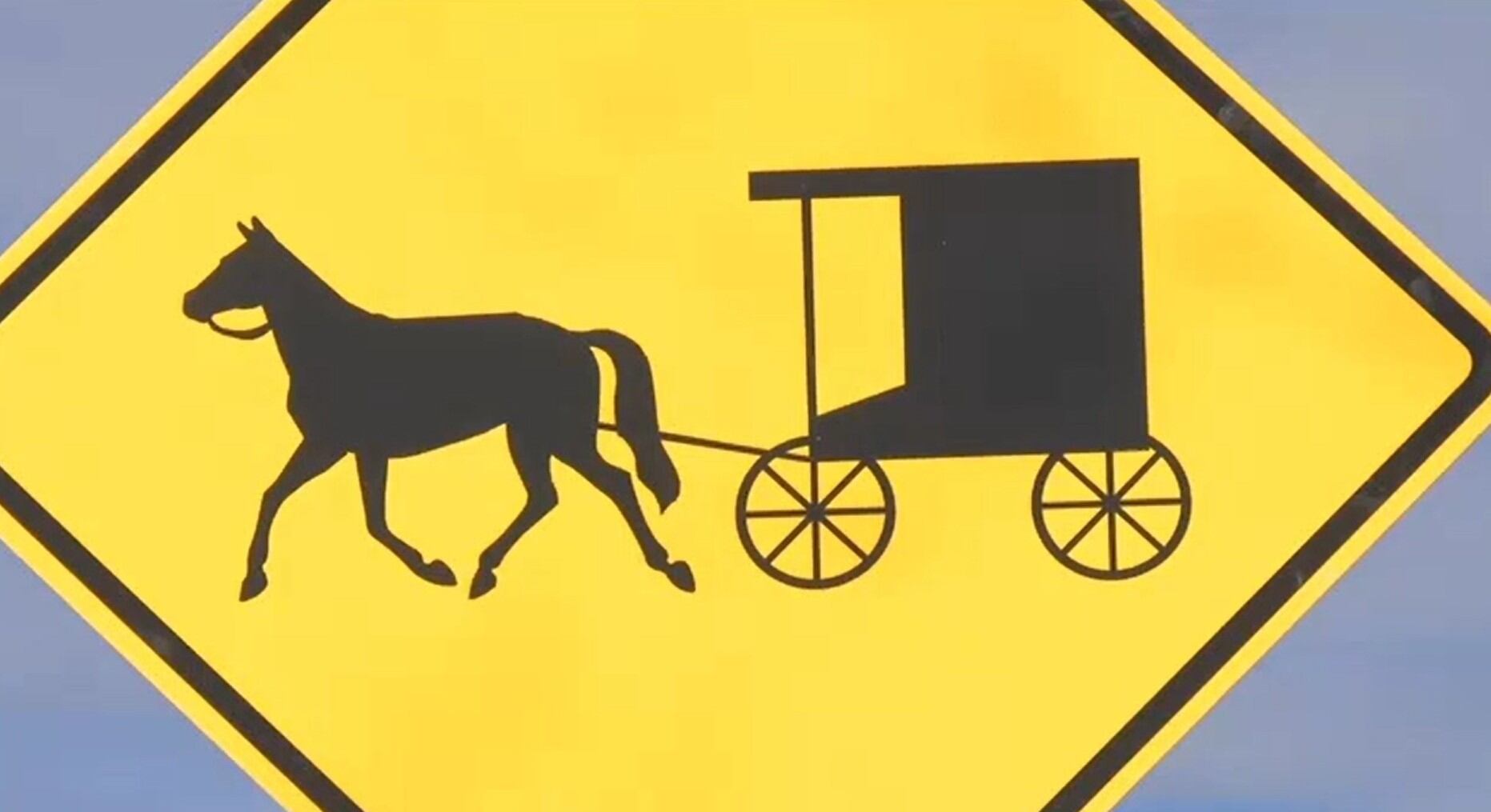 Fact Finders: Do road rules apply to Amish buggy drivers?