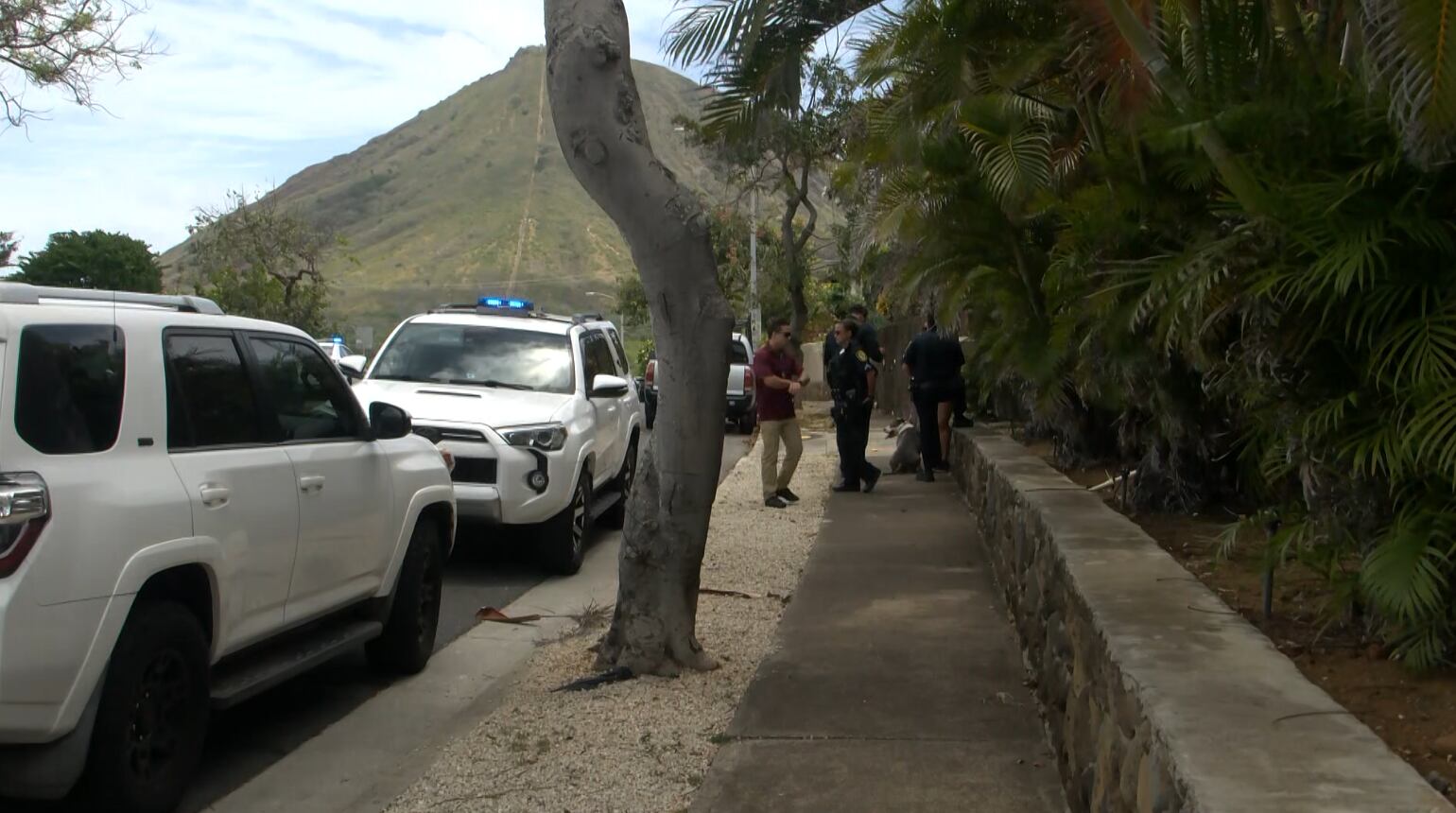 Hawaii considering anti-squatter law to protect homeowners, cut ...