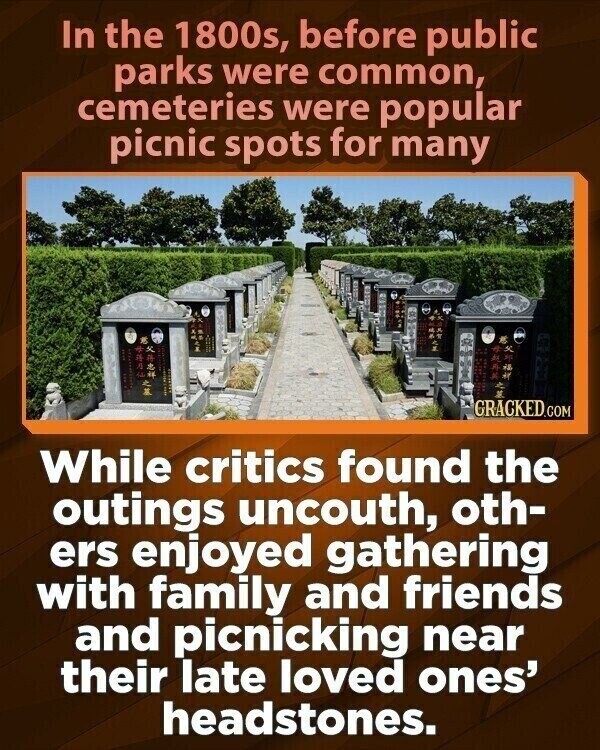 Fun Facts That Are Equal Parts Random and Interesting