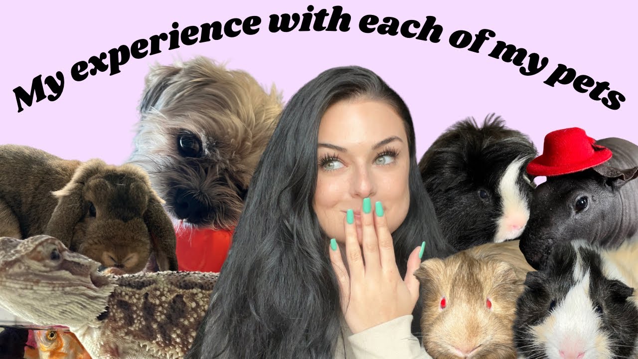 All My Pets and the Amazing Experiences I’ve Had with Them