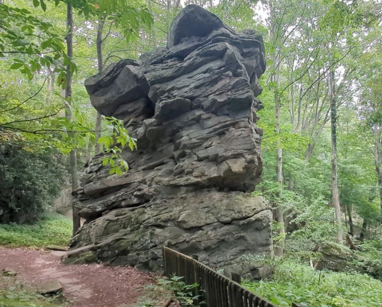 Take a hike! New River Gorge offers breathtaking views, health benefits ...