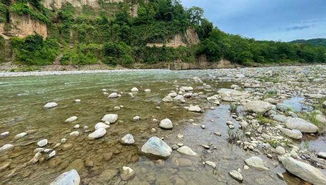 Wildlife photographer thrilled after capturing images of rare creatures ...