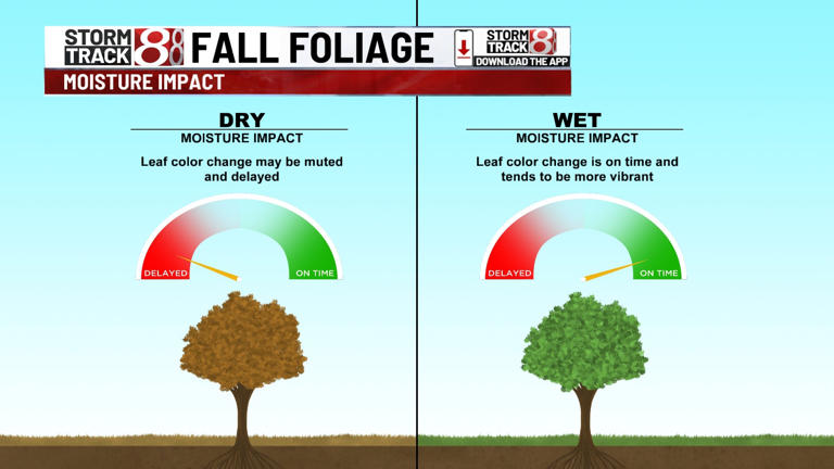 Drought may impact Indiana's fall colors in 2025
