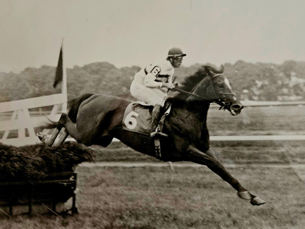 Life's Illusion: Champion Steeplechase Mare Who Changed The Old Boys' Club