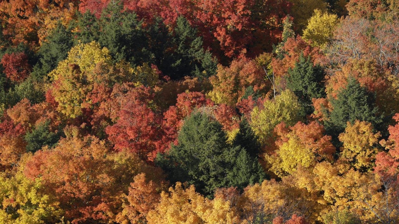 Drought may impact Indiana's fall colors in 2025