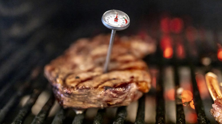 How To Use A Thermometer To Check Heat Levels While Grilling