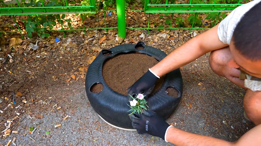 Self-Watering Solutions for your Plants made Easy